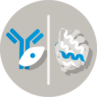 ProBioGen AG | CDMO Services & Technologies for Biopharmaceuticals