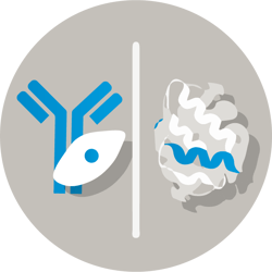 ProBioGen AG | CDMO Services & Technologies for Biopharmaceuticals