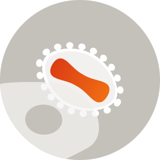 Integrated CDMO Services for Viral Vectors & Vaccines | ProBioGen AG