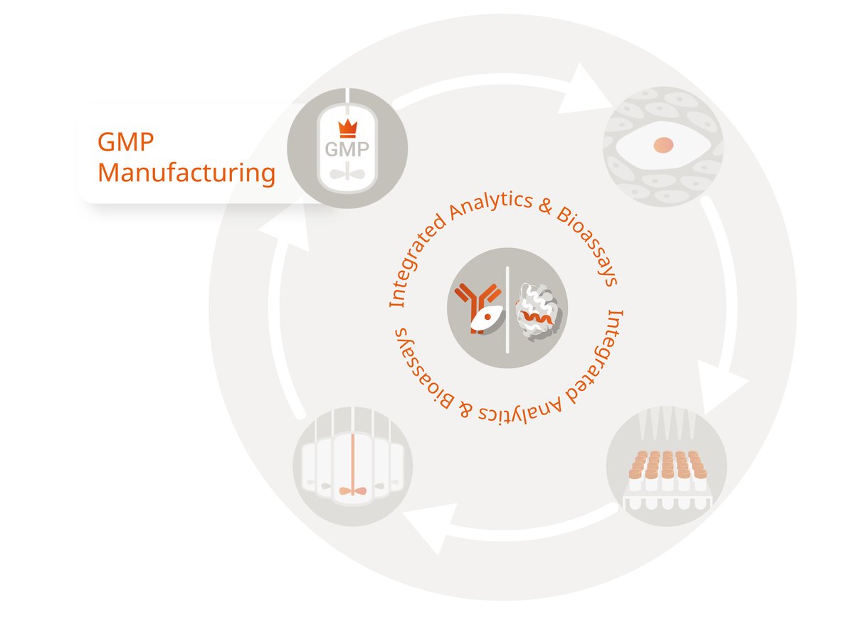 (GMP) Manufacturing Services for Proteins & Antibodies | ProBioGen AG